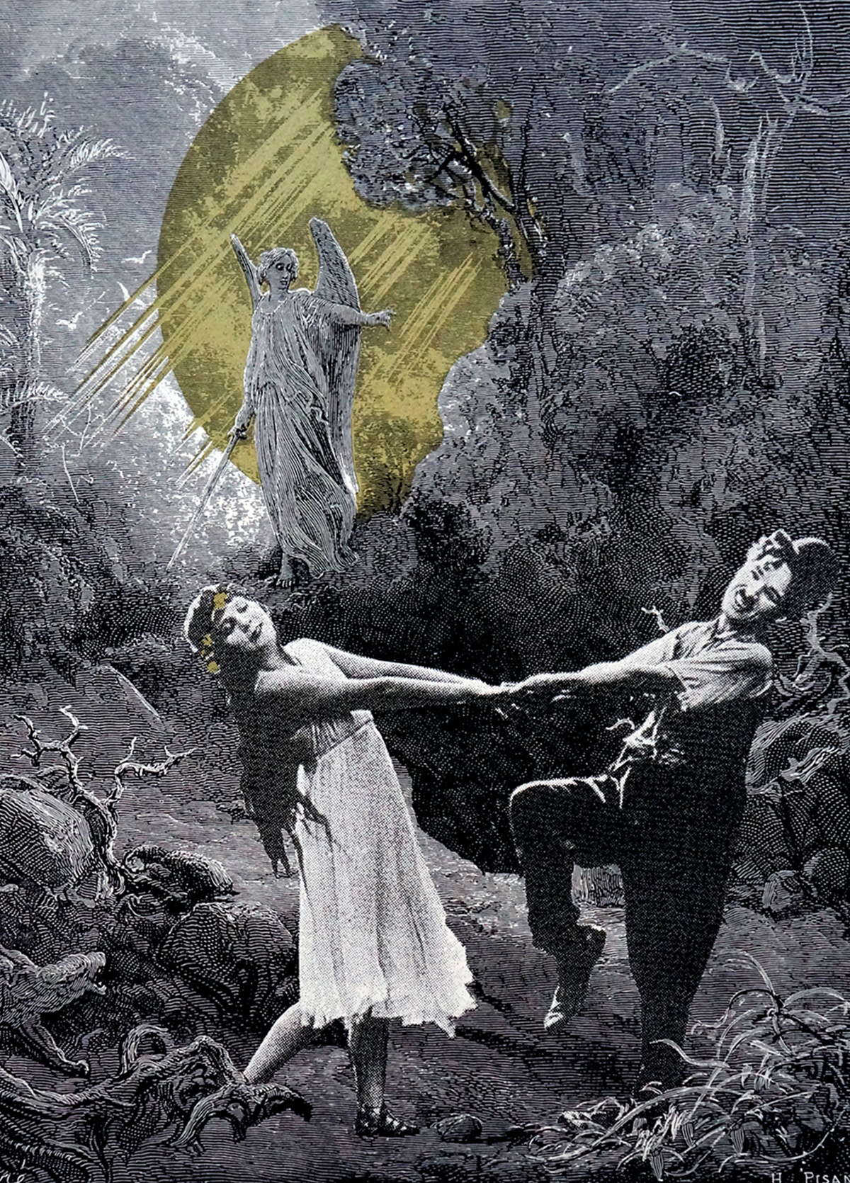 Les Dorés • David Rybak